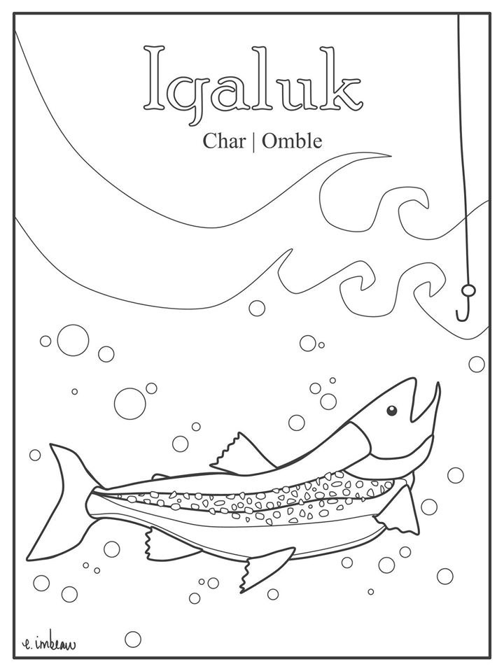 Indigenous Colouring Sheets! – The Guider's Guild