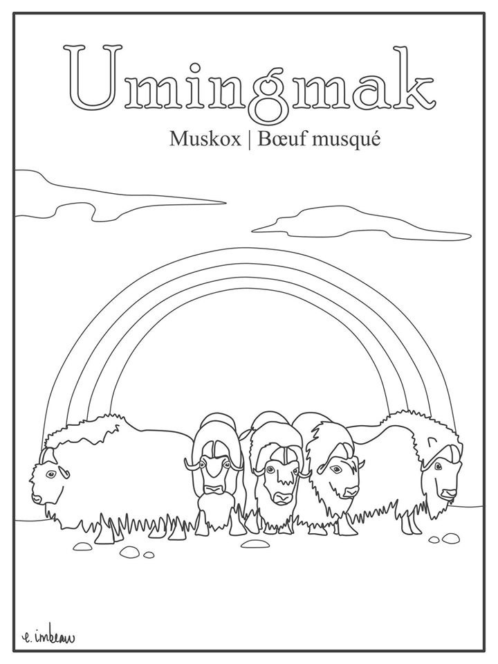 Indigenous Colouring Sheets! – The Guider's Guild